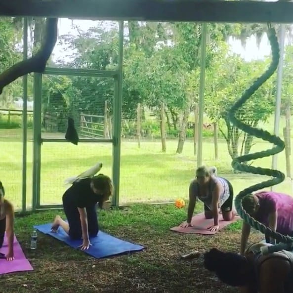 Home - Patty's Parrot Palace